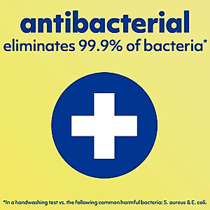 Softsoap Antibacterial Liquid Hand Soap, Fresh Citrus Scent Hand Soap, 11.25 Ounce, 6 Pack