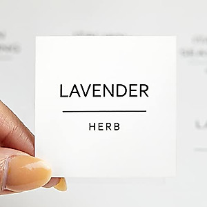 Talented Kitchen 184 Spice Labels Stickers, Preprinted White Spice Jar Labels for Herbs Seasonings, Spice Rack Pantry Organization, Minimalist Black Text + Numbers & Date (Water Resistant)