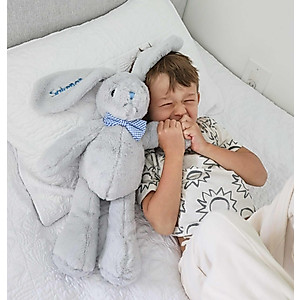 DIBSIES Personalized Hoppity Floppity Bunny 18" (Pink)