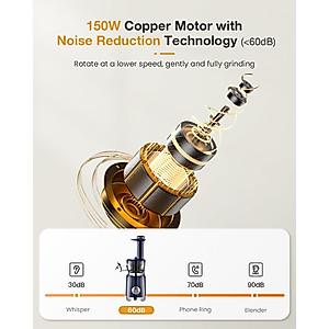 Cold Press Juicer, FEZEN Small Masticating Juicer for Fruits and Vegetables, Powerful Juice Extractor Machine with Compact Size and Space-Saving Feature, Very Easy to Clean (Updated)