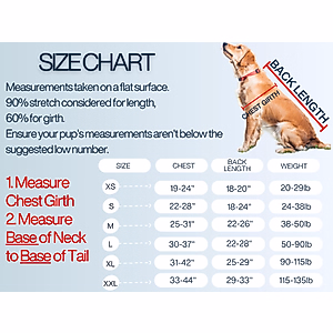 Dog Recovery Suit After Surgery - for Spay Neuter - with Washable Pads - Dog Onesie (Grey Large)