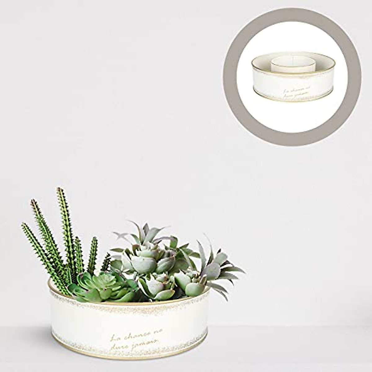 Happyyami 1pc Ring Flower Pot Metal Flower Planter Outdoor Planter Decorative Cute Flower Pot Table Plant Pot Succulent Pot Retro Planter vase Front Door White Small Cactus Iron Office