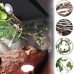 PINVNBY Bearded Dragon Leash Harness,Adjustable Leather Bat Wings Lizard Habitat Tank Accessories Reptile Hammock Natural Coconut Shell Climbing Jungle Bendable Vines Decor for Gecko Chameleon