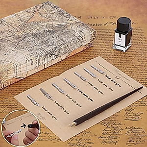 Vintage Quill Pen Ink Set,Feather Quill Pen with Wooden Calligraphy Pen, Including 7 Different Sizes of Nib, Calligraphy pen Set Gift & Women and Man(Grey)