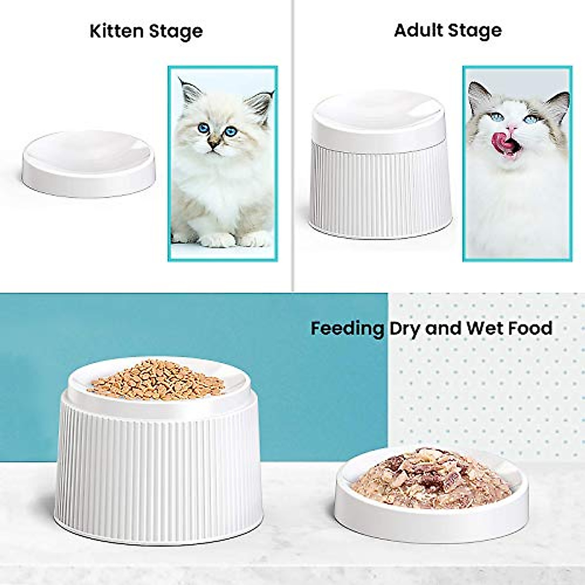 iPettie Elevated Cat Food Bowl Cat Dish, Tilted Pet Feeding Station with Stand for Small Dog, Made from Certified Food-Safe Plastics, Better Than Stainless Steel and Ceramic