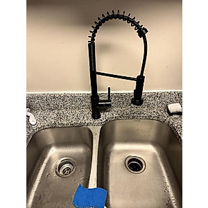 Glacier Bay Paulina Single-Handle Spring Neck Pull Down Sprayer Kitchen Faucet in Matte Black