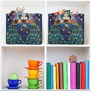 xigua Peacocks Pattern Storage Bins Foldable Canvas Fabric Storage Basket with Handles for Organizing, Large Storage Baskets for Shelves Closet