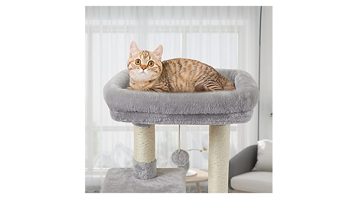 FISH&NAP Cute Cat Tree for Indoor Kittens