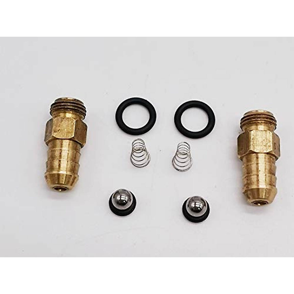 shiosheng 2PCS Chemical Injection Service Kit for Briggs & Stratton Pressure Washer Pump, Replacement 192914GS