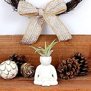 3.25 Inch White Ceramic Meditating Person Shaped Planter with Live Tillandsia Air Plant - Potted Indoor Air Plants for Home and Office Decor
