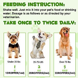 Probiotics for Dogs，3-in-1 Dog Probiotics，Dog Probiotics for Digestive Support, Dog Probiotic Supplements，Pet Probiotics for Dogs， Liquid Probiotics for Dogs | 2 Oz