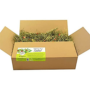 Grandpa's Best Small Pet Salad, Green, 1 Count (Pack of 1)