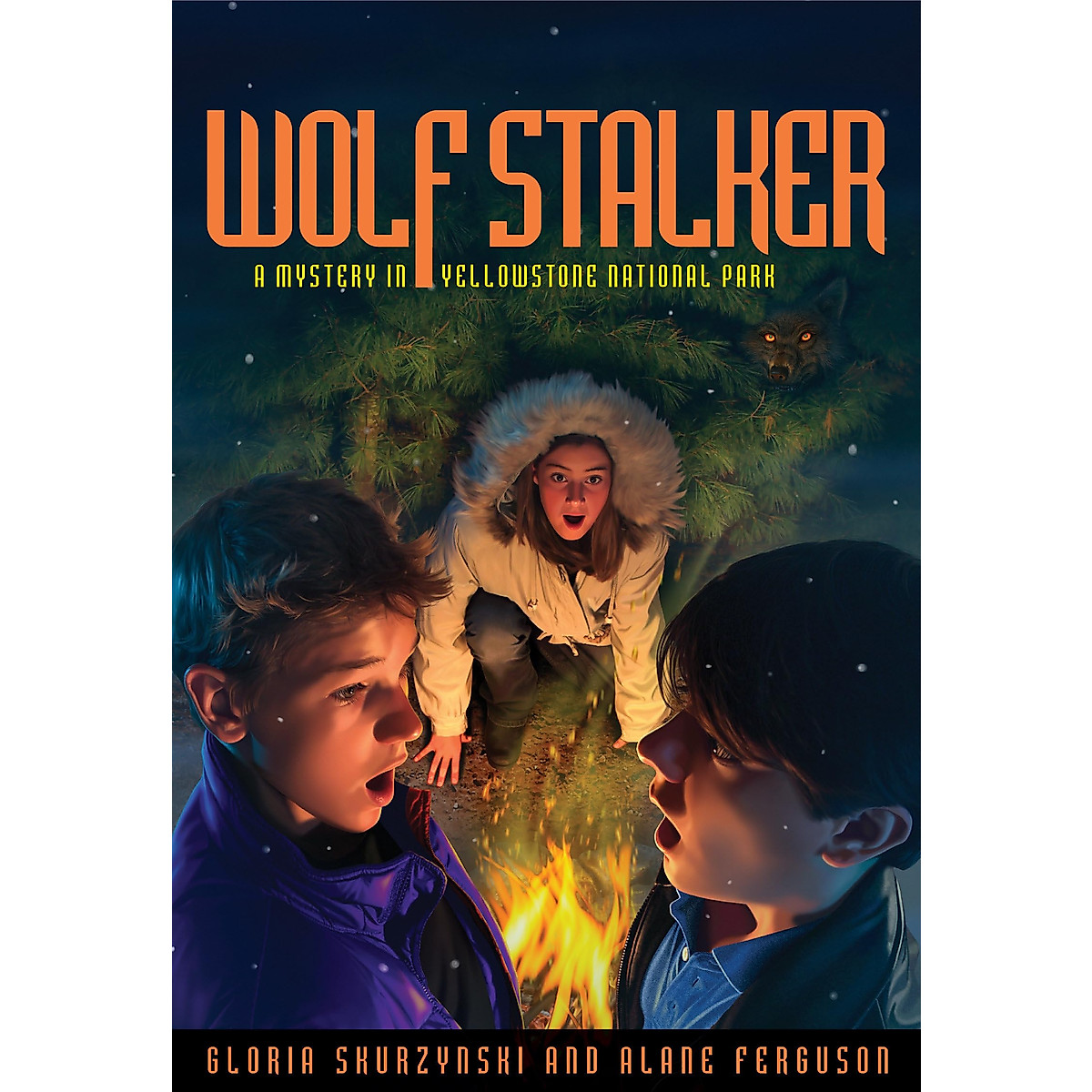 Mysteries in Our National Parks: Wolf Stalker: A Mystery in Yellowstone National Park