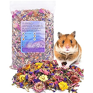 Bissap Natural Flower & Herb Hamster Bedding 300g/10.5oz, Small Animal Soft Flower Habitat Decor for Syrian Dwarf Hamster Gerbil Chinchilla Mice Degu and Other Small Pet Flower Bedding Odor Control