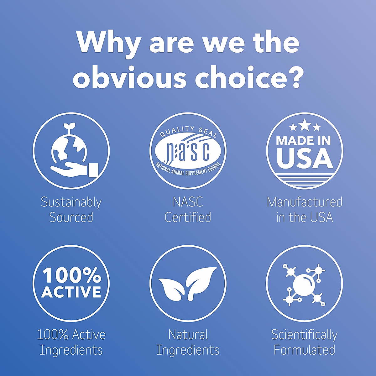 InClover Natural Kidney Support Supplement for Cats & Dogs (BioRen) - Bladder & Urinary Tract Health with L-Carnitine & Resveratrol - Supports Renal Function - Combats Formation of Crystals and Stones