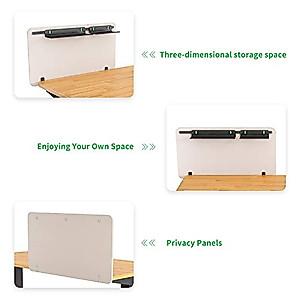 BANTI Dual Motor Adjustable Height Standing Desk, Electric Sit Stand Desk with Screen Panel, 48 x 24 Inches Stand up Desk, Home Office Desk with Rubberwood Top and Black Frame B-SDE-SP48BO-D