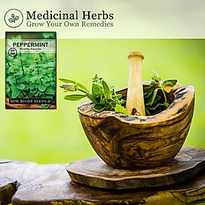 Sow Right Seeds - Peppermint Seeds for Planting - Non-GMO Heirloom Seeds - Full Instructions for Easy Planting and Growing an Herbal Tea Garden, Indoors or Outdoor; Great Gardening Gift