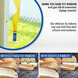 Raid® Fly Ribbon, Fly Traps for Indoors and Outdoors, 4 Pack