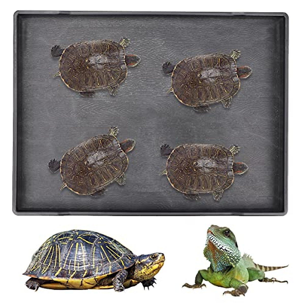 YOLUFER Reptile Food Water Bowl Plate Dish for Tortoise Crawl Pet Drinking and Eating Hallow Water Dish for Reptiles (Size3-L)