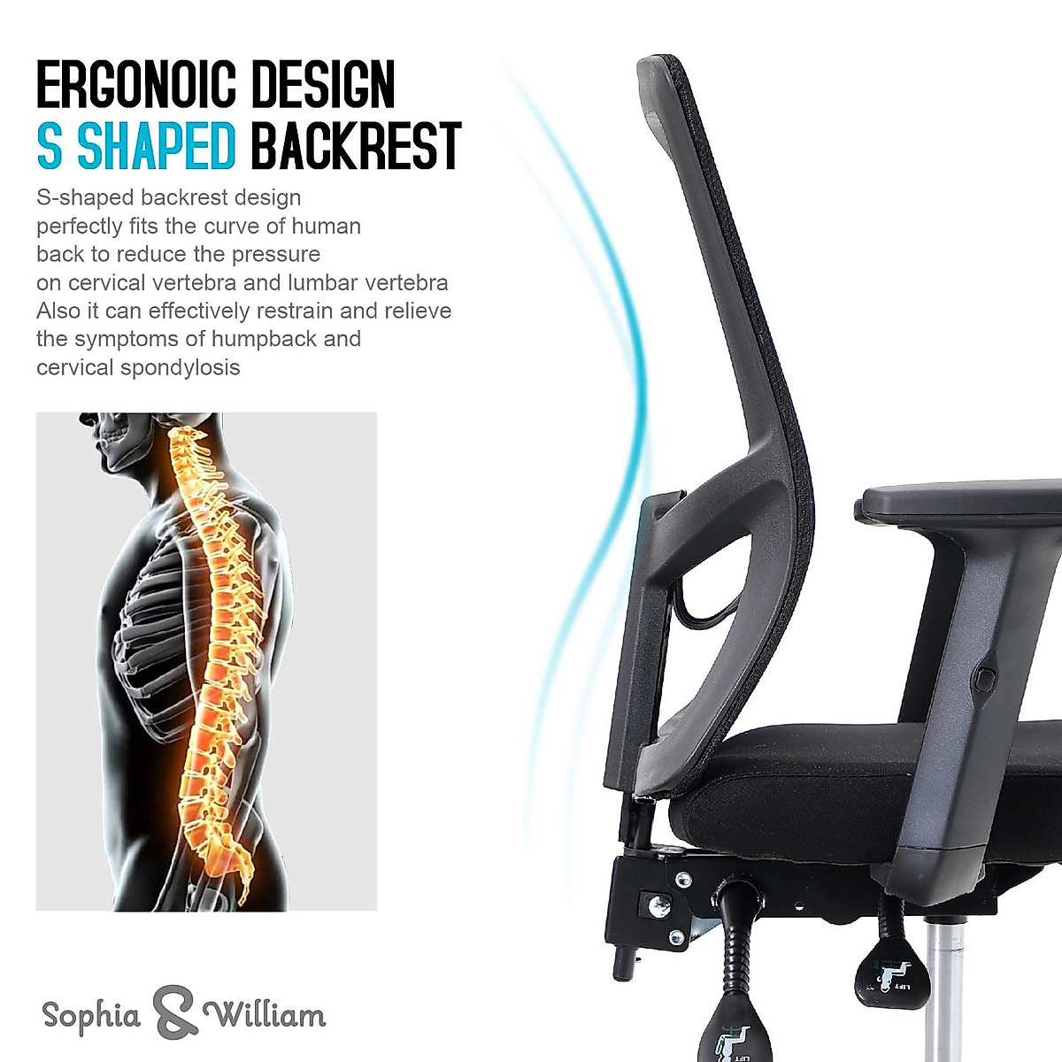 Sophia & William Ergonomic Mesh Office Desk Chair High Back, Modern 360° Swivel Executive Computer Chair with Height Adjustable Armrests, Lumbar Support, Black - 1 Pack, Load Capacity: 300 lbs