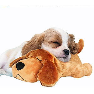 KITA Heartbeat Plush Dog Toy, Pet Anxiety Relief, Calming Training Aid, Comfort Stuffed Toy for Dog, Cat (Tan)
