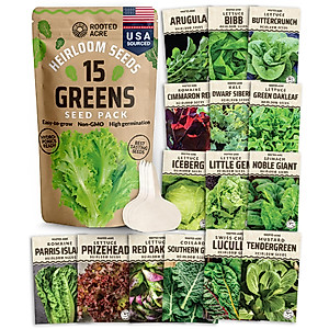 Rooted Acre 15 Lettuce & Green Seeds Pack | Non-GMO Heirloom Seeds | Garden Salad Greens Seeds | Hydroponic Vegetable Seeds for Planting Indoor | Romaine, Kale, Spinach, Arugula, & Butter Lettuce Seed