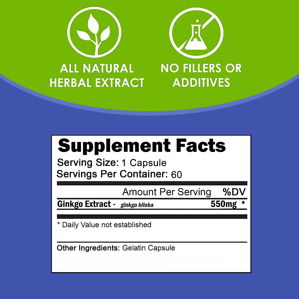 VH Nutrition Ginkgo BILOBA | 550mg Standardized Extract Supplements | Cognitive and Memory Support* | Boost Mental Clarity and Focus | Brain Health Supplement | 60 Capsules