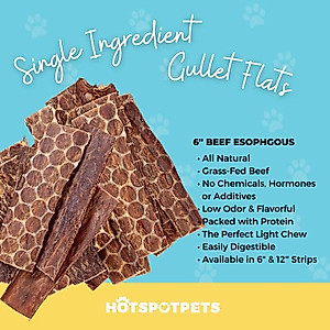 hotspot pets Beef Dog Treats Esophagus (6 Inches) - 100% Natural Healthy Chews for Dogs - Meat Jerky Snack with No Preservatives, Hormones & Antibiotics from Grass Fed Cattle (20 Pack)