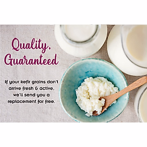 Fusion Teas 1 TBSP Organic Milk Kefir Grains and ebook “Milk Kefir Unleashed by Thomas Egbert” - Fresh Live Active Probiotic Starter Cultures