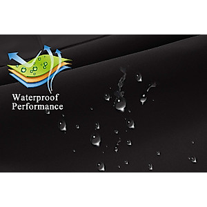 Gopune Women's Waterproof Windproof Outdoor Hiking Snow Ski Insulated Pants (Black,S)