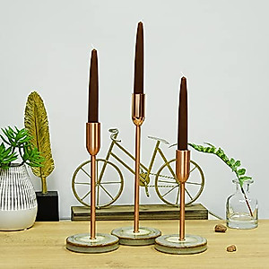 Zest Candle, 6-Inch, Brown 12-Piece Taper Candles, Count