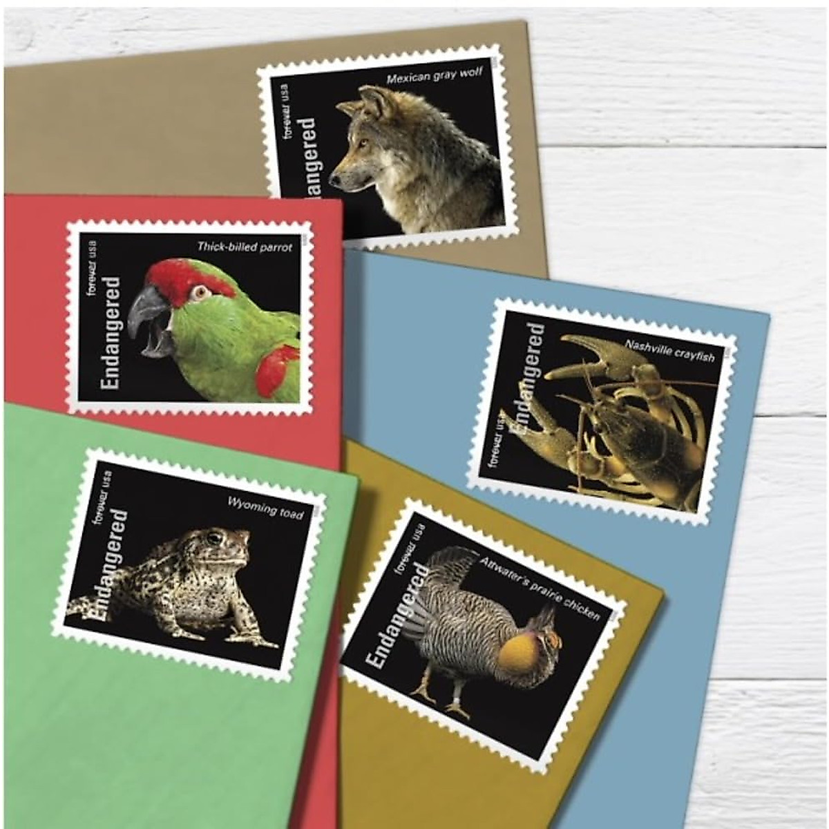 Endangered Species (Sheet of 20) Postage Forever Stamps US Postal First Class Animal Bird Fish Duck Wildlife Habitat Announcement Celebrate Anniversary Wedding 2023 Scott #5800