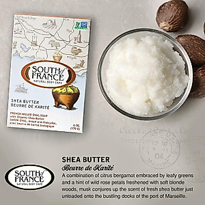 South of France Shea Butter Bar Soap 6 Ounce (Pack of 8 bars)