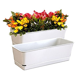 Product Trend Blooming Shelf for Window-Mounted Herbs, Grow Flowers, Succulents, and Vegetables, Indoor Rectangular Planter with Drainage Holes, 4 Inches x 11.2 Inches x 5.3 Inches, White, Pack of 2