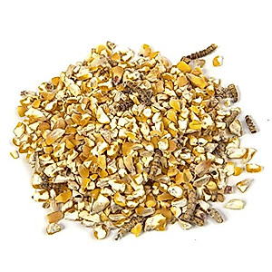 Manna Pro Oat & Mealworm Snack Blend Treats, 2 lb