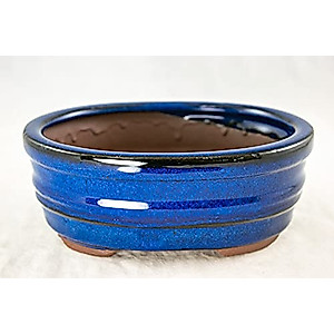 6" Oval Blue Glazed Bonsai/Succulent Pot + Soil + Tray + Rock + Mesh Kit
