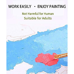 16x20" Common Loon Swimming Lake Waters Paint by Numbers Kits for Adults Kids DIY Wall Art Picture Framed Canvas Oil Painting Set Digital Paintworks for Beginners