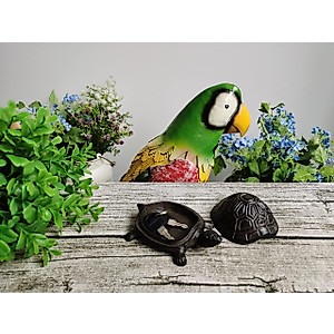 BSTGIFTS Cast Iron Turtle Key Hider - Spare Key Holder - Garden Decoration Turtle, Jewelry Trinkets Box for Key, Ear Studs, Ring, Paper Clip (Antique Brown)…