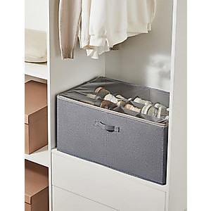 Berdeng Shoe Storage Organizer for Closet, Shoe Box Organizer, Space Saving Foldable Shoe Rack, Shoe Storage Cabinet with Clear Cover and Reinforced Handles, Fits 20 Pairs, Grey