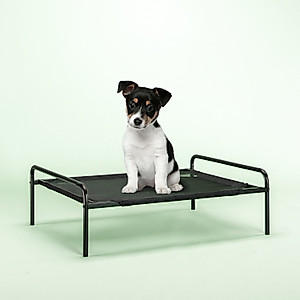 ZINUS Elevated Metal Framed Comfort Pet Bed, Small, Black