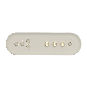 Roland BTM-1 Bluetooth Speaker with Guitar Input