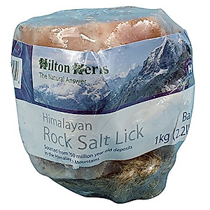 Hilton Herbs 26000 Himalayan Salt Lick, Baby 2.2lb