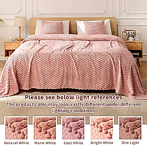 FY FIBER HOUSE Fleece Throw Blanket for Couch 300GMS Super Soft Plush Fuzzy Blankets Lap Blanket for Office Sofa, 50x60 Inches, Pink