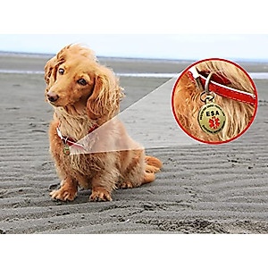 Double Sided Small Breed Emotional Support Animal ESA Tag Red Medical Alert Symbol and Protected by Federal Law .999 inch ID Tag. Easily Switch Between Collars Harness and Vest.