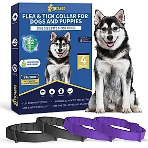 4 Pack Flea Collar for Dogs, Flea and Tick Collar for Dogs Puppies, 32 Months Flea and Tick Prevention for Dogs, Dog Flea Collar, Dog Flea and Tick Treatment-Black and Purple
