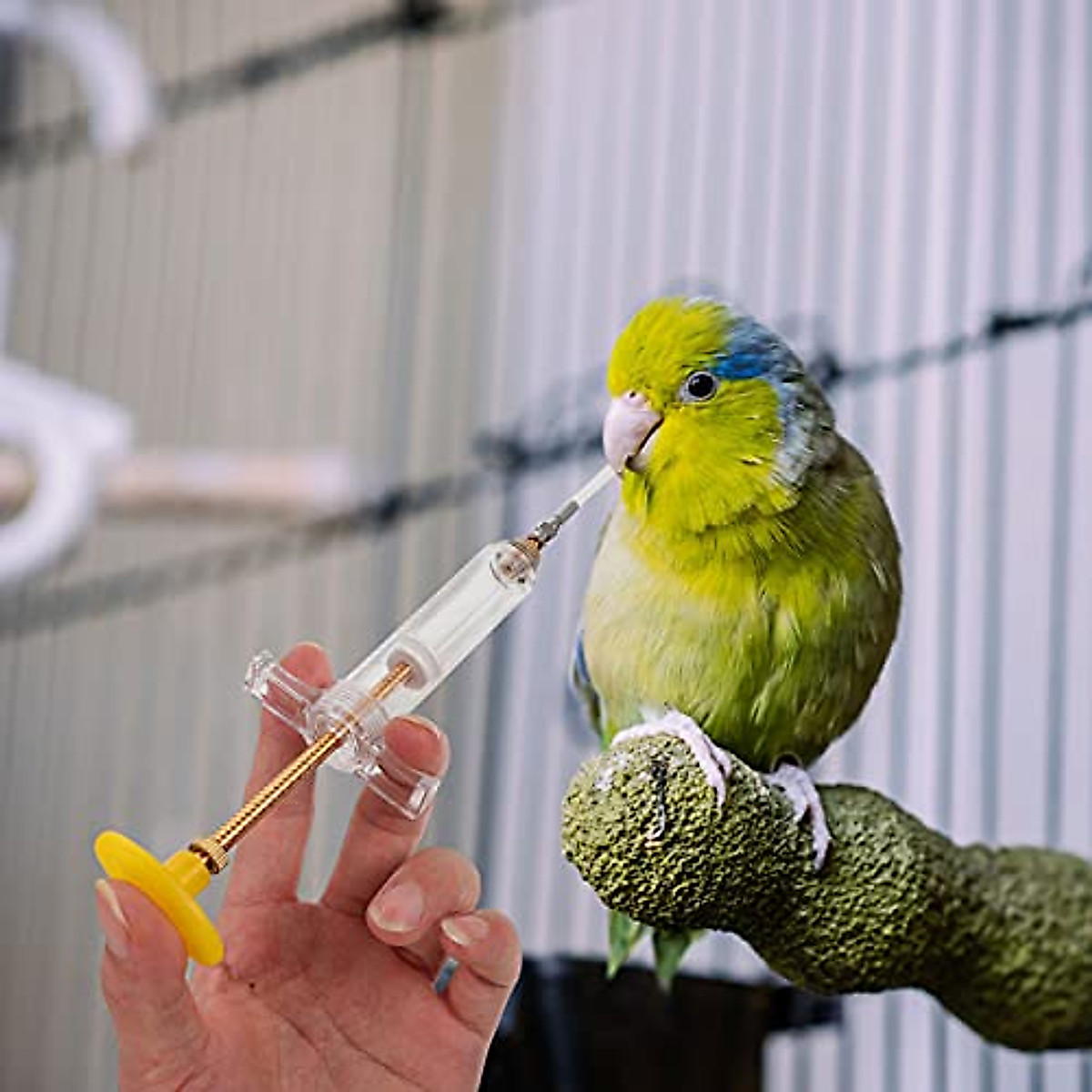 POPETPOP Birds Hand Feeding Syringe Bird Feeding Syringe, Birds Feeding Tubes for Small Birds Parrot Hand Feeding Syringe (2pcs Feed / 6 Pcs Curved Gavage Tubes) Parrot Feeding Syringe