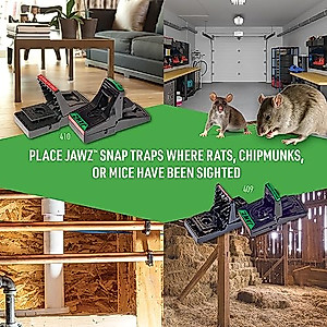 JT Eaton 409BULK Jawz Plastic Mouse Trap, For Solid or Liquid Bait (Pack of 24)