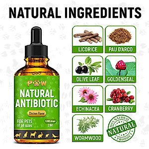 Cat Antibiotic | Natural Antibiotics for Dogs | Antibiotic for Cats | Dog Antibiotic | Natural Antibiotics for Cats | Chicken Flavor | 2 oz