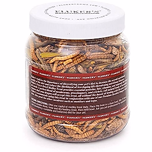 Fluker's Bearded Dragon Medley Treat Food 1.8oz - Includes Attached DBDPet Pro-Tip Guide