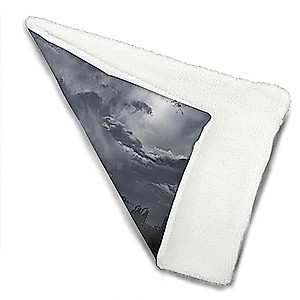 Brown Blue Cat and Dog Self Heating Pad Aerial View of City Skyline at Dusk Washable Kennel Mat for Large Medium Small Dogs and Cats Denver Panoramic 18" x 22"